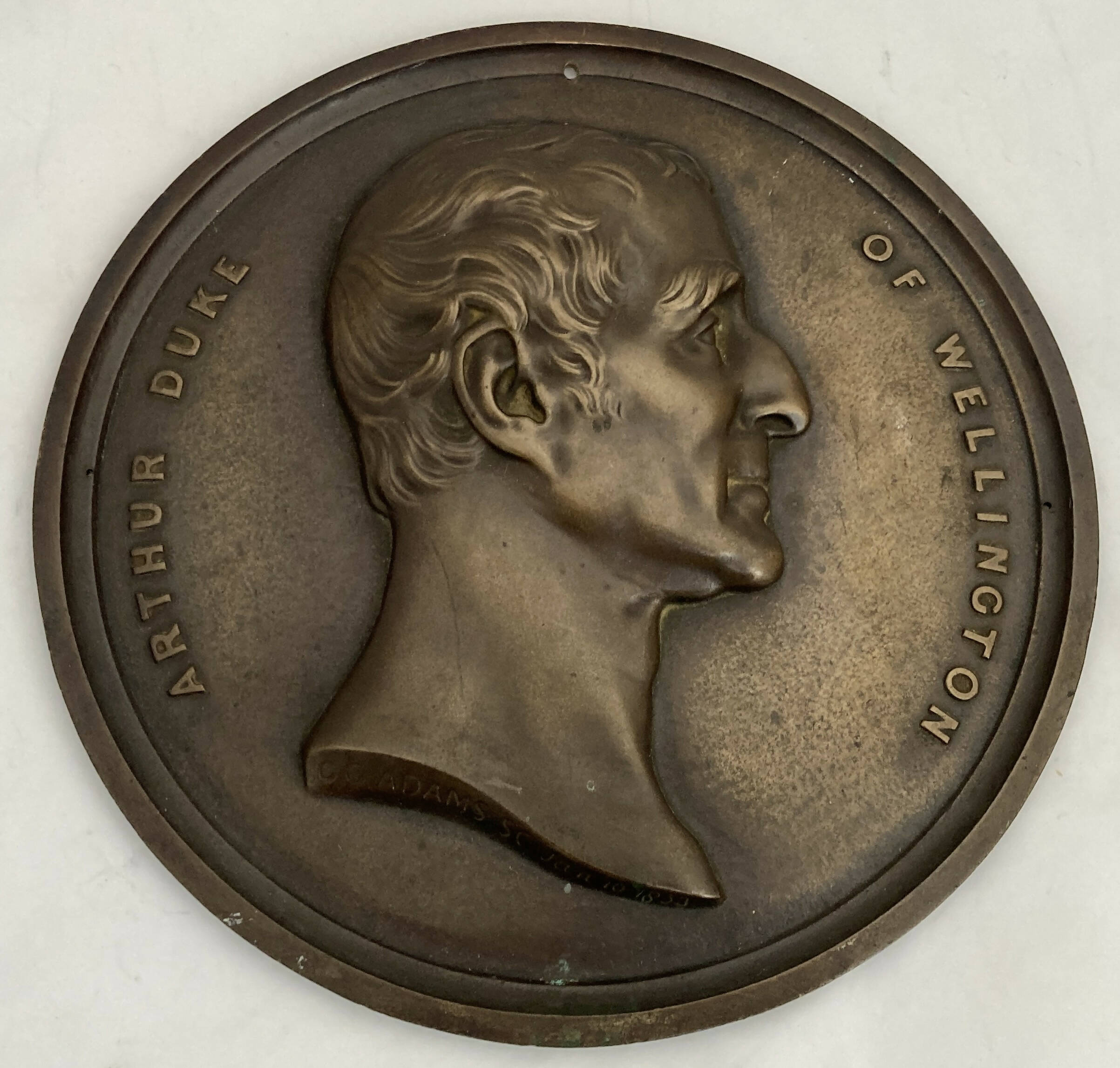 The Duke of Wellington: Large Bronze Relief Portrait Plaque, After Geo